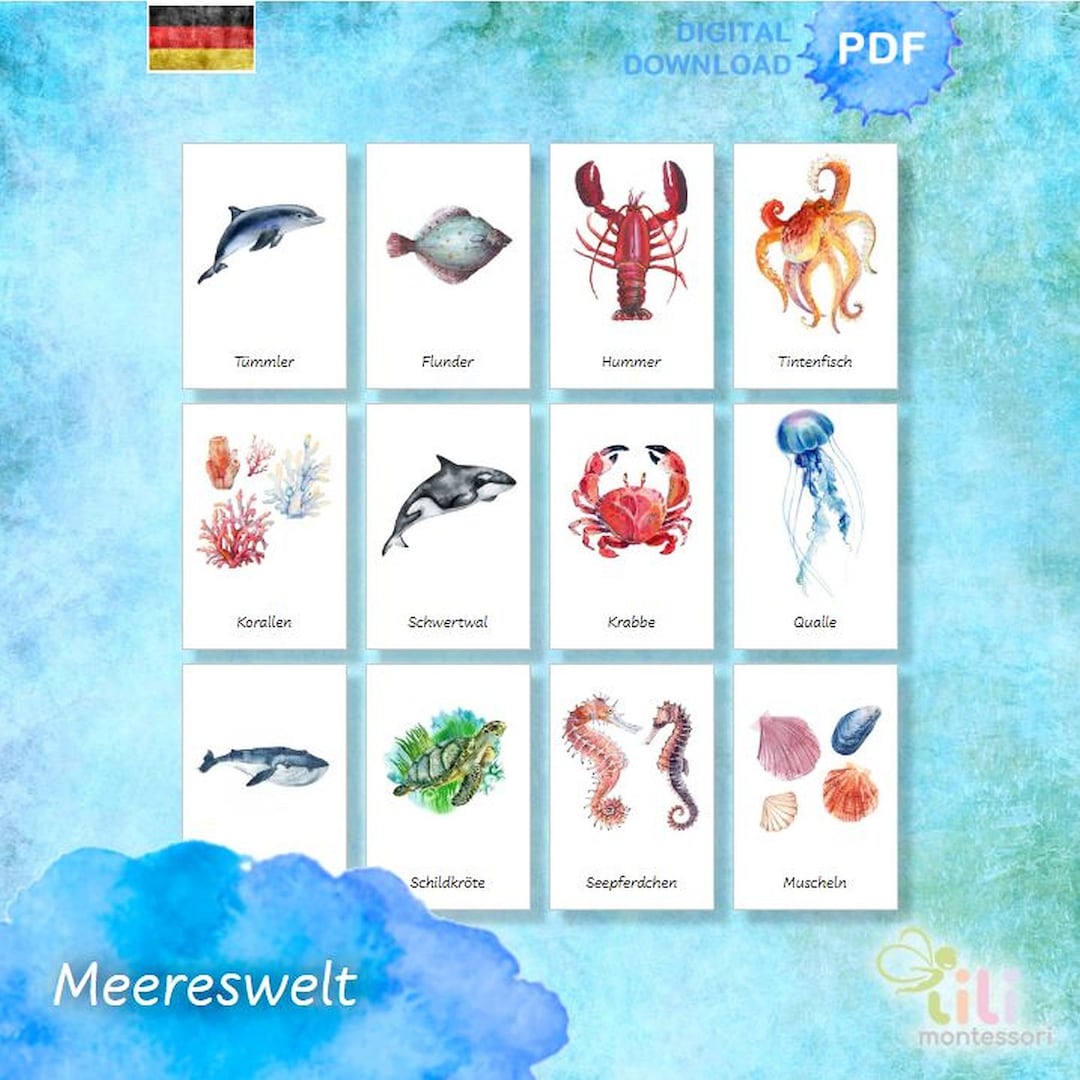 OCEAN LIFE Montessori Three Part Cards ⁕ 28 Editable Cards ...