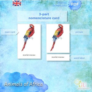 ANIMALS OF AFRICA Three Part Cards Montessori ⁕ Flash Cards ...