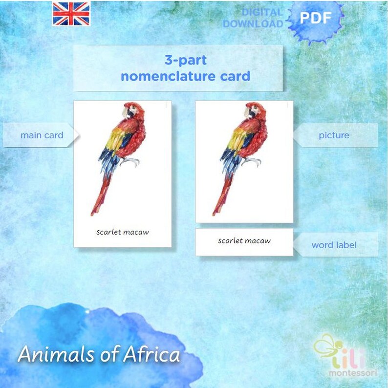 ANIMALS OF AFRICA Three Part Cards Montessori ⁕ Flash Cards ...
