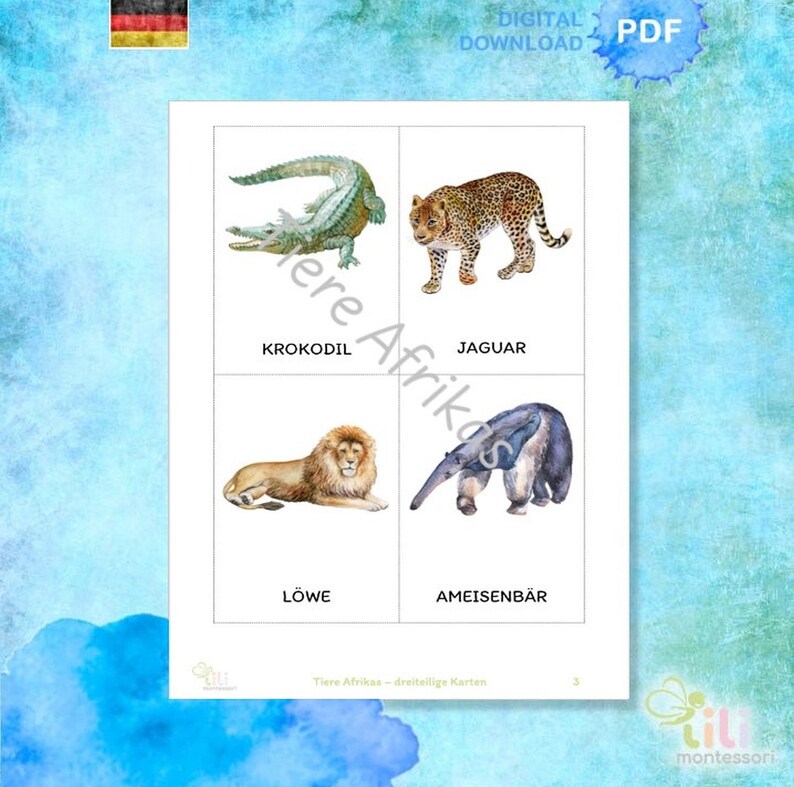 ANIMALS OF AFRICA Three Part Cards Montessori ⁕ Flash Cards ...