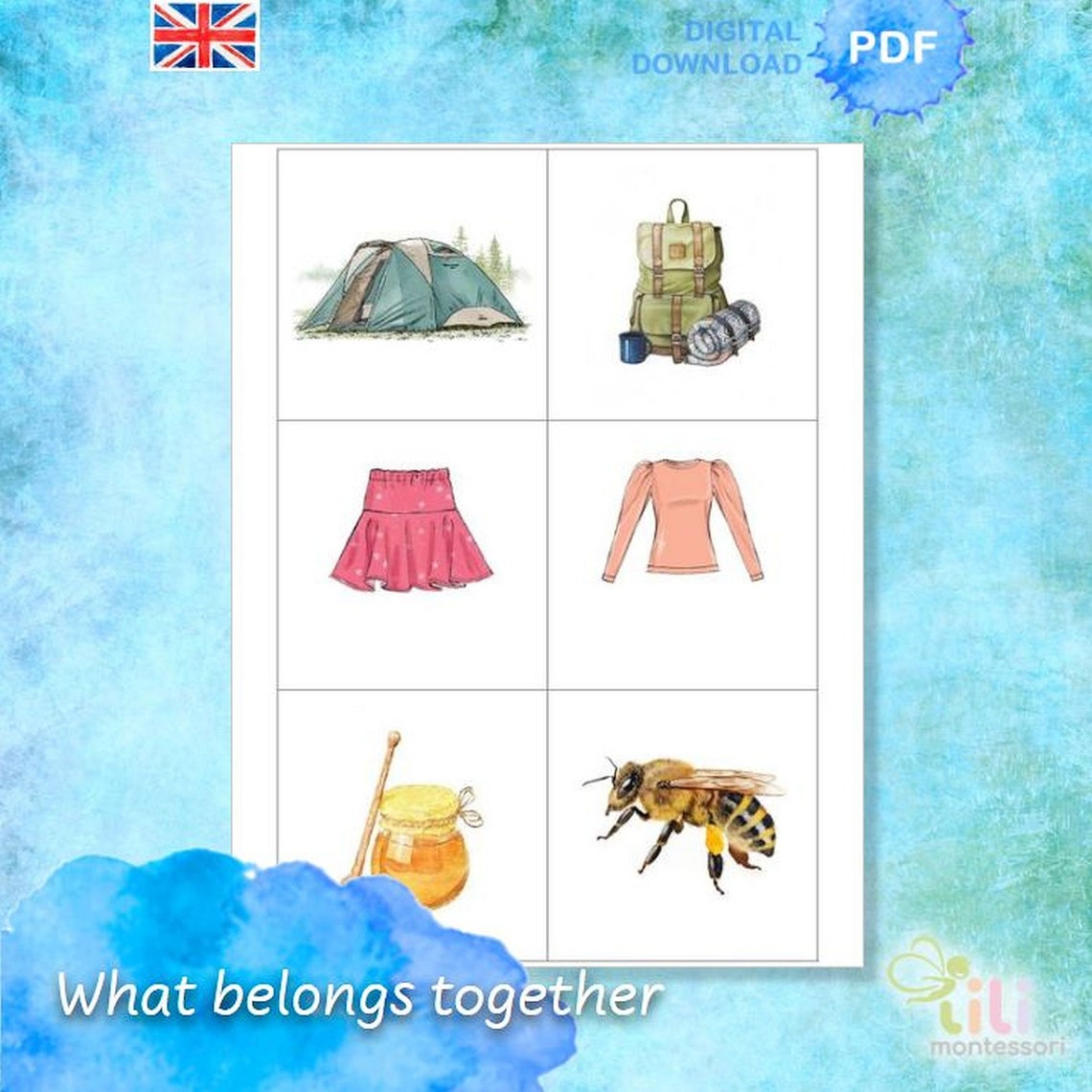 WHAT BELONGS TOGETHER Simple Classification montessori - Etsy