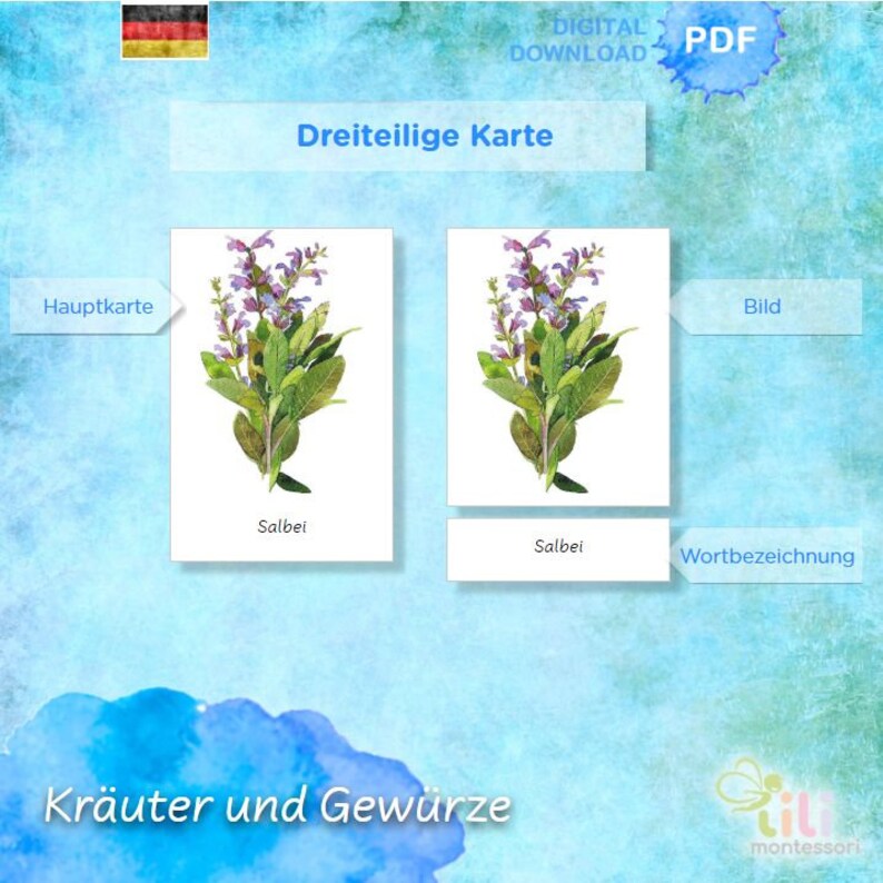 HERBS AND SPICES Montessori 3 Part Cards 28 Editable Cards Multilingual ...