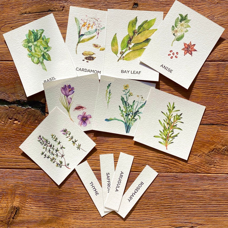 HERBS AND SPICES Montessori 3 Part Cards 28 Editable Cards Multilingual ...