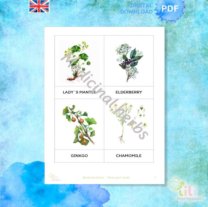 MEDICINAL PLANTS Montessori 3-part Cards ⁕24 Editable Cards ...