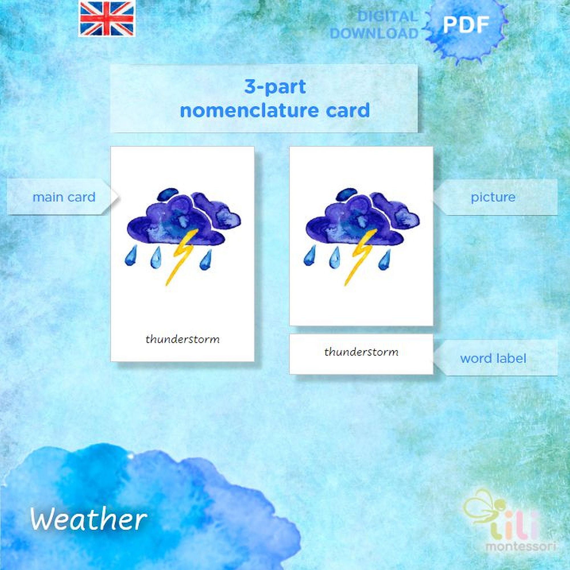 WEATHER SYMBOLS Montessori 3 Part Cards 24 Editable Cards - Etsy