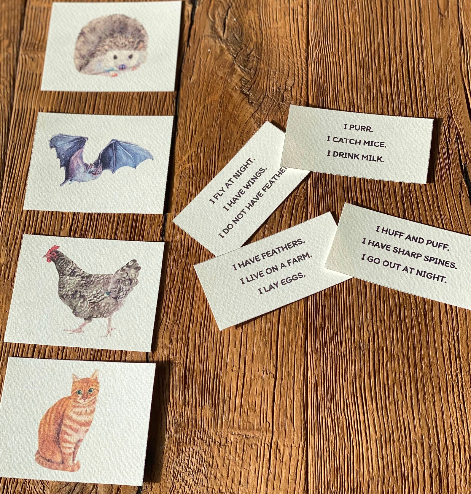 ANIMAL RIDDLES - Who Am I? Educational Material⁕ Riddles⁕ Montessori ...