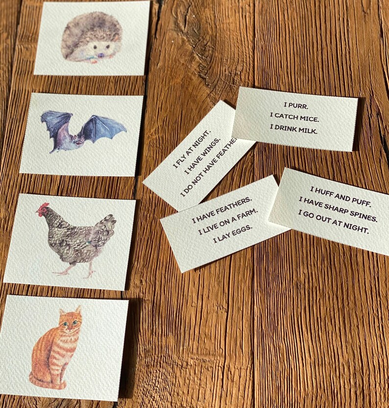 ANIMAL RIDDLES - Who Am I? Educational Material⁕ Riddles⁕ Montessori ...