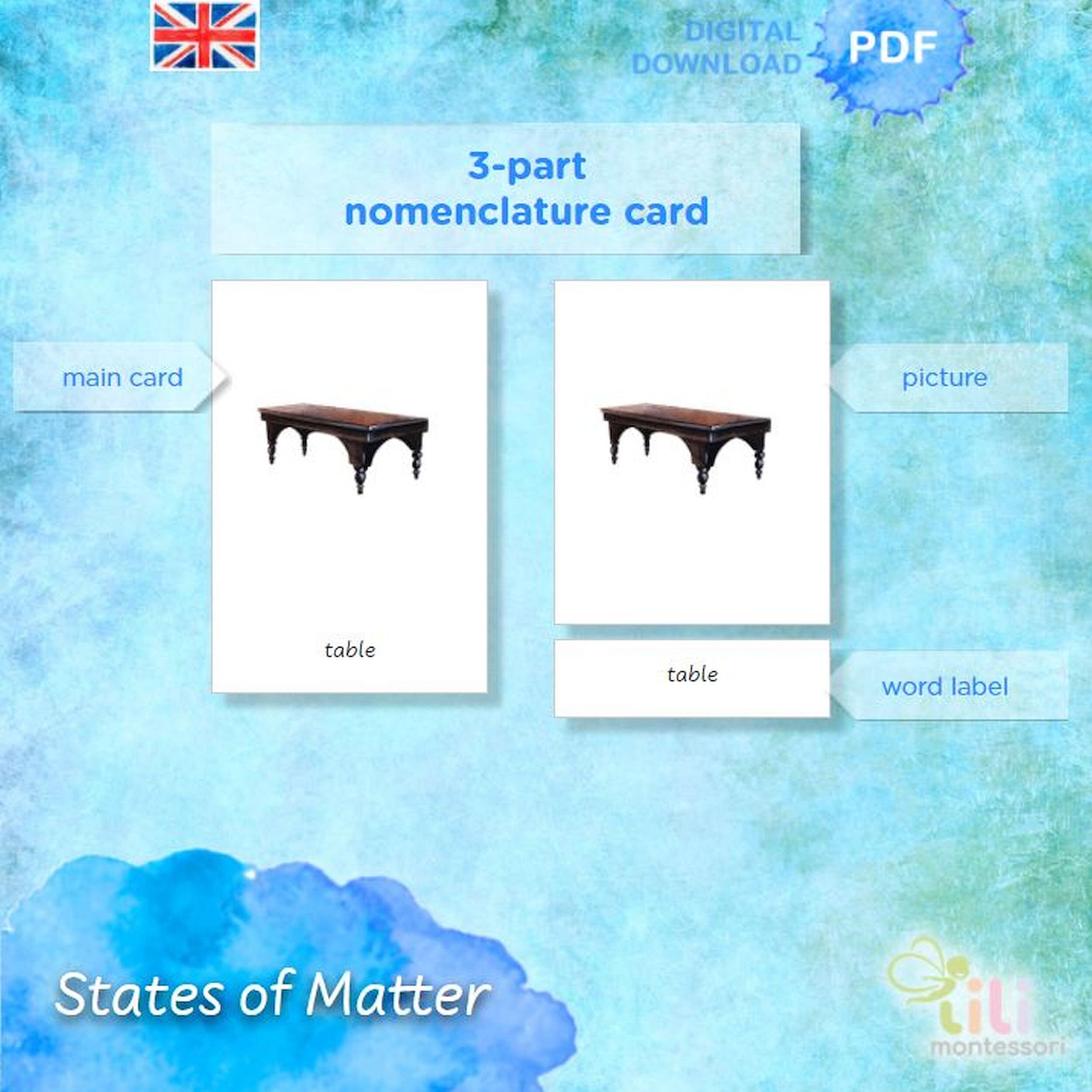 STATES OF MATTER ⁕science⁕simple Classification⁕montessori Printable ...