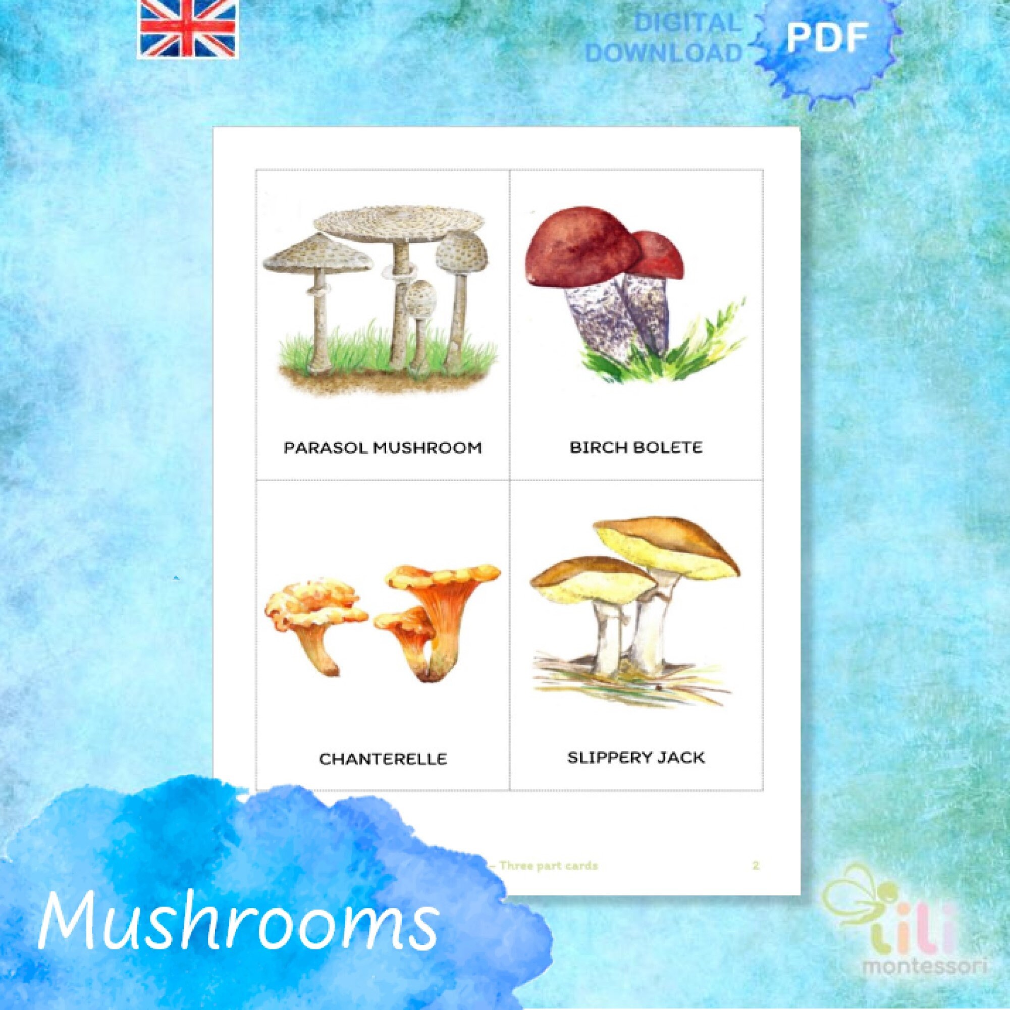 MUSHROOMS 3 Part Cards Montessori ⁕ 24 Editable Cards⁕ Multilingual ...