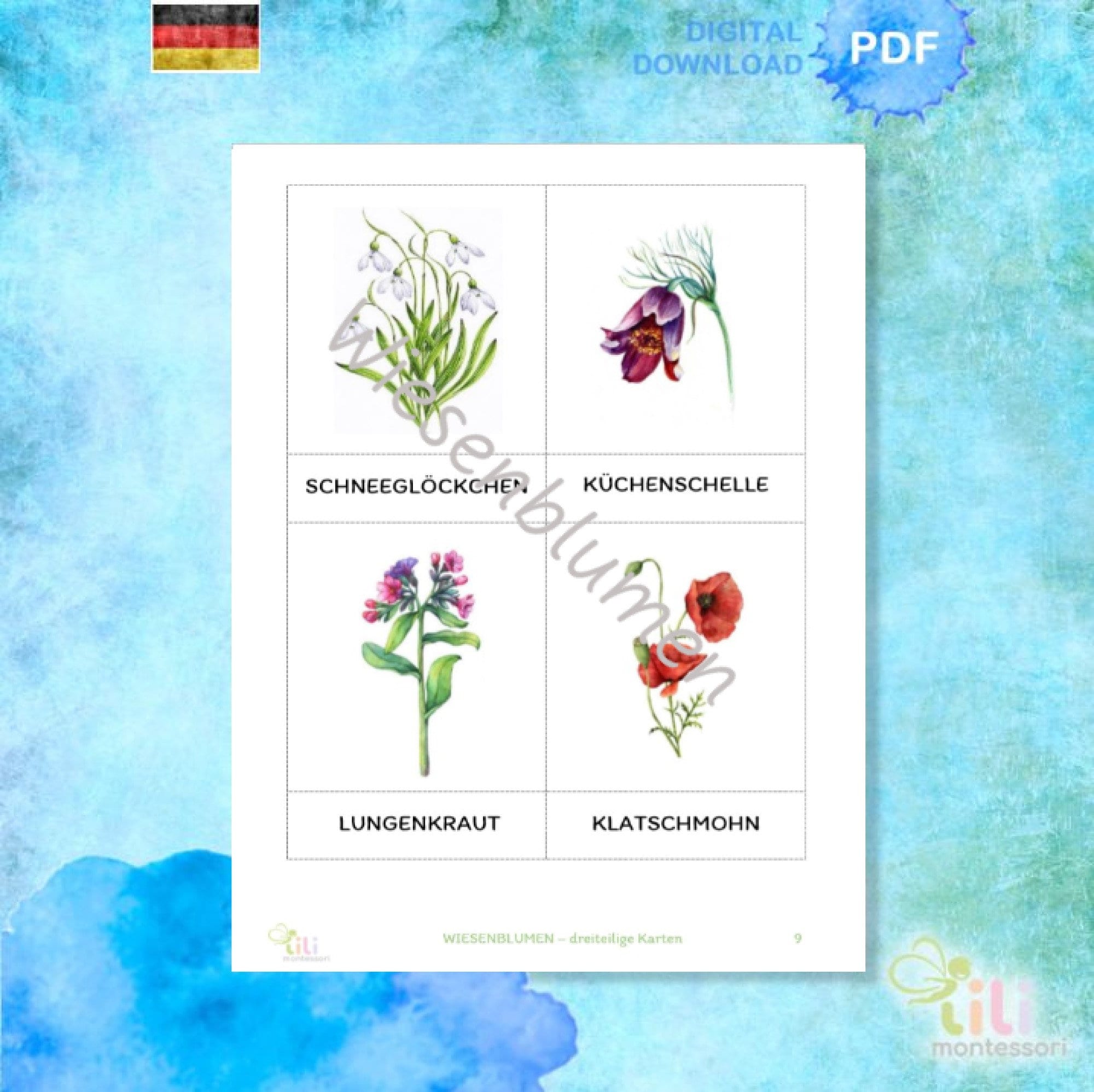 WILD FLOWERS Three Part Cards Montessori ⁕ 24 Editable Cards ...