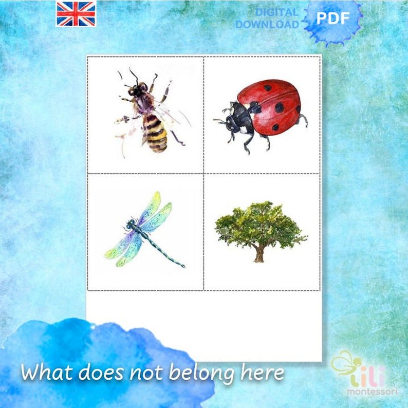 What Doesn't Belong Here? - Simple Classification ⁕culture ⁕cosmic ...