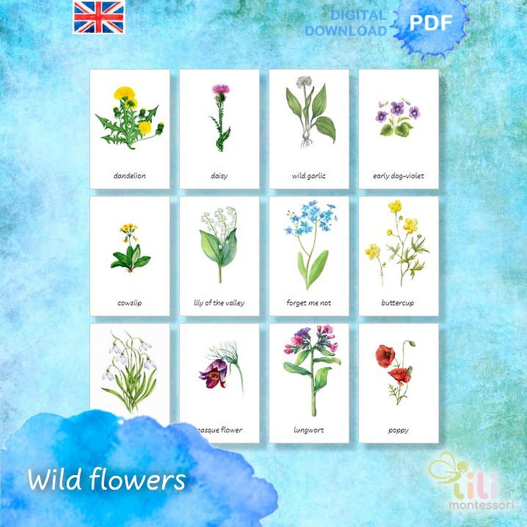 WILD FLOWERS Three Part Cards Montessori ⁕ 24 Editable Cards ...
