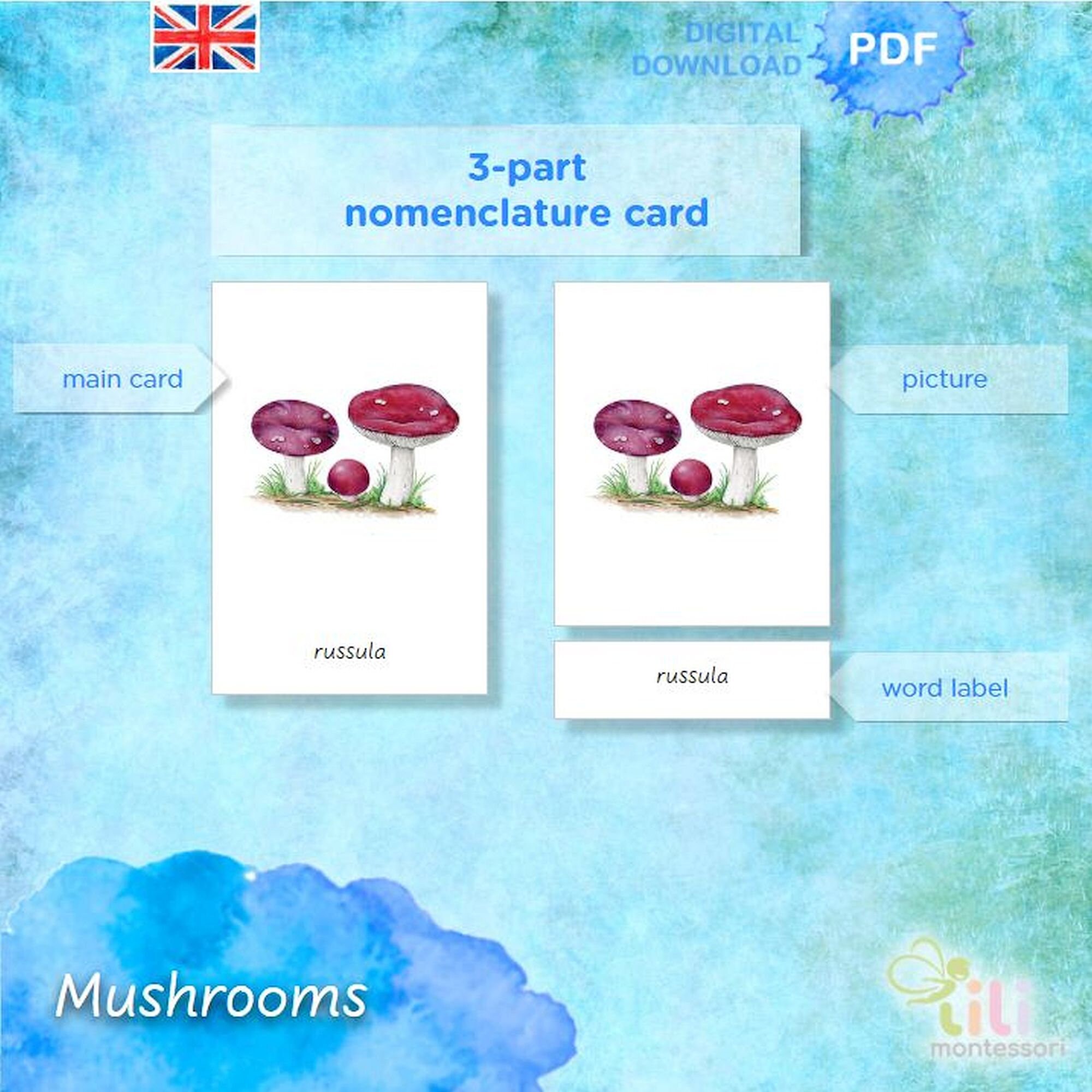 MUSHROOMS 3 Part Cards Montessori ⁕ 24 Editable Cards⁕ Multilingual ...