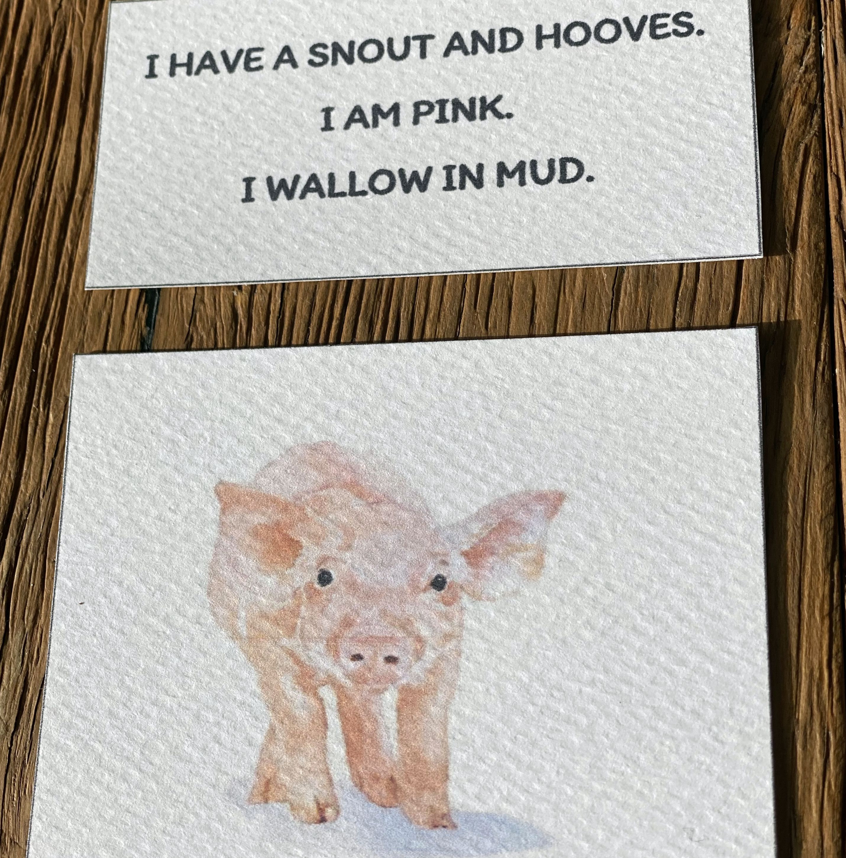 ANIMAL RIDDLES - Who Am I? Educational Material⁕ Riddles⁕ Montessori ...