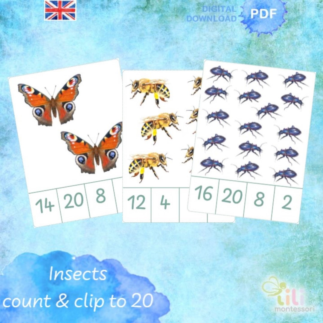 INSECTS COUNTING to 20 Clip Cards⁕numeracy ⁕ Counting⁕ Numbers⁕ Logic ...