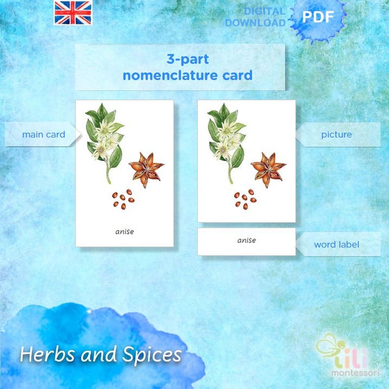 HERBS AND SPICES Montessori 3 Part Cards 28 Editable Cards Multilingual ...