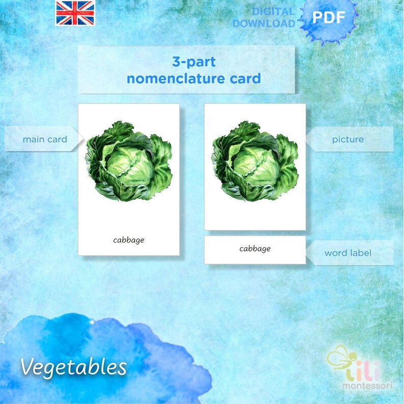 VEGETABLES Three Part Cards Montessori ⁕28 Editable Cards ...