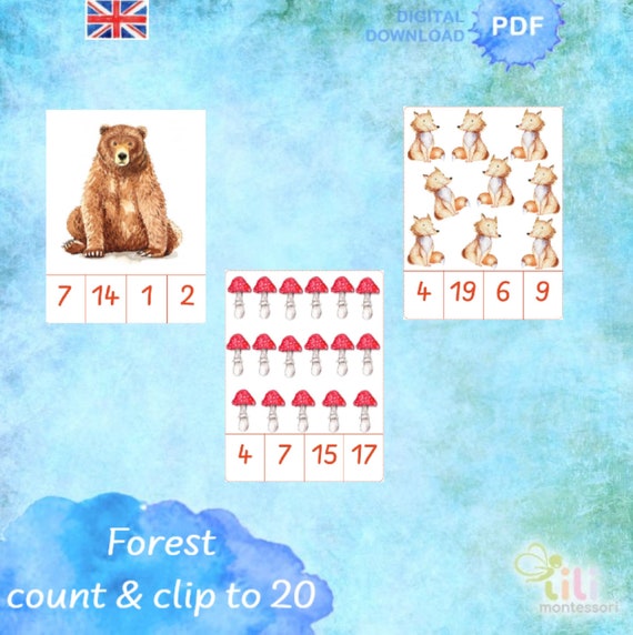 FOREST COUNTING to 20 Clip Cards numeracy Counting | Etsy Australia
