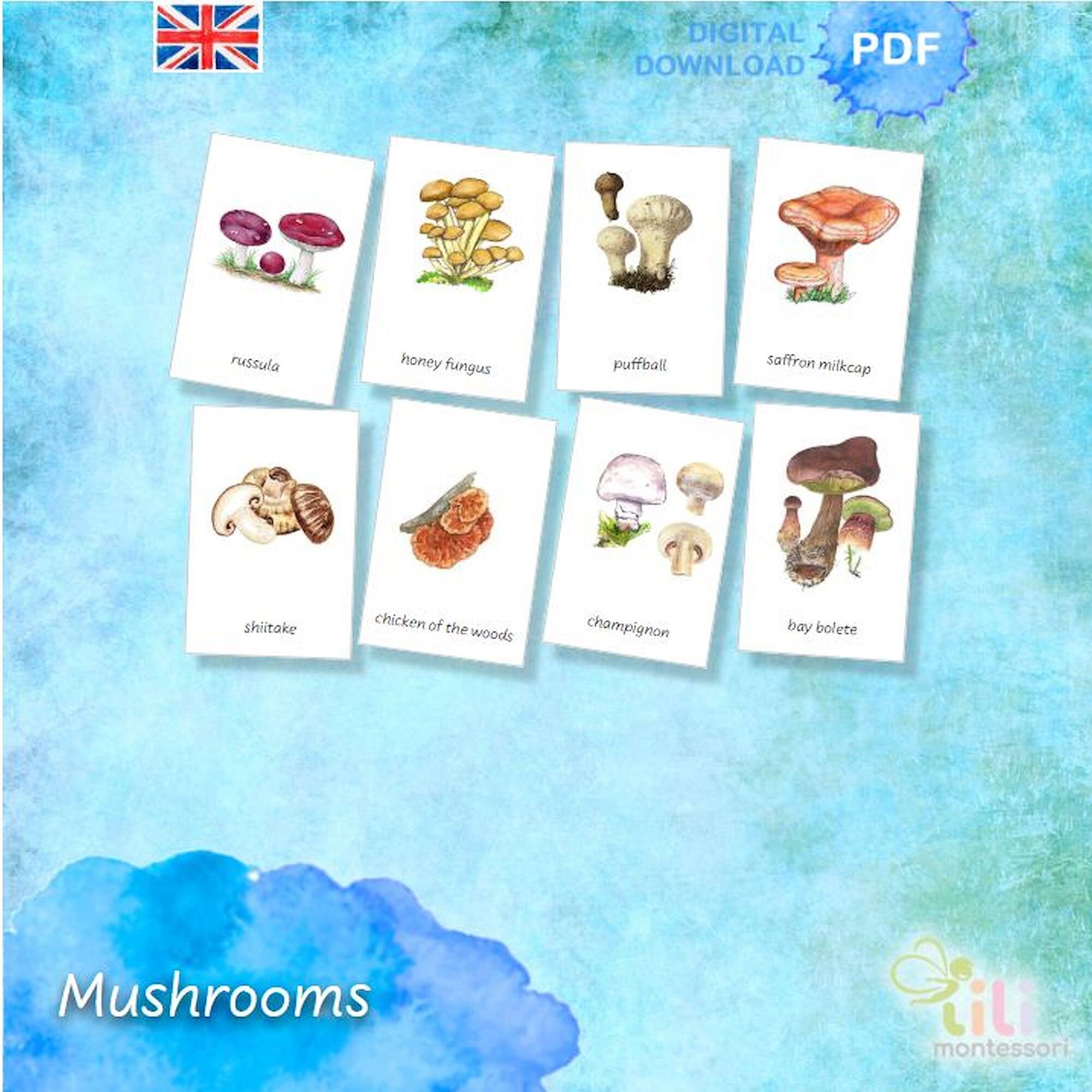 MUSHROOMS 3 Part Cards Montessori 24 Editable Cards Multilingual ...