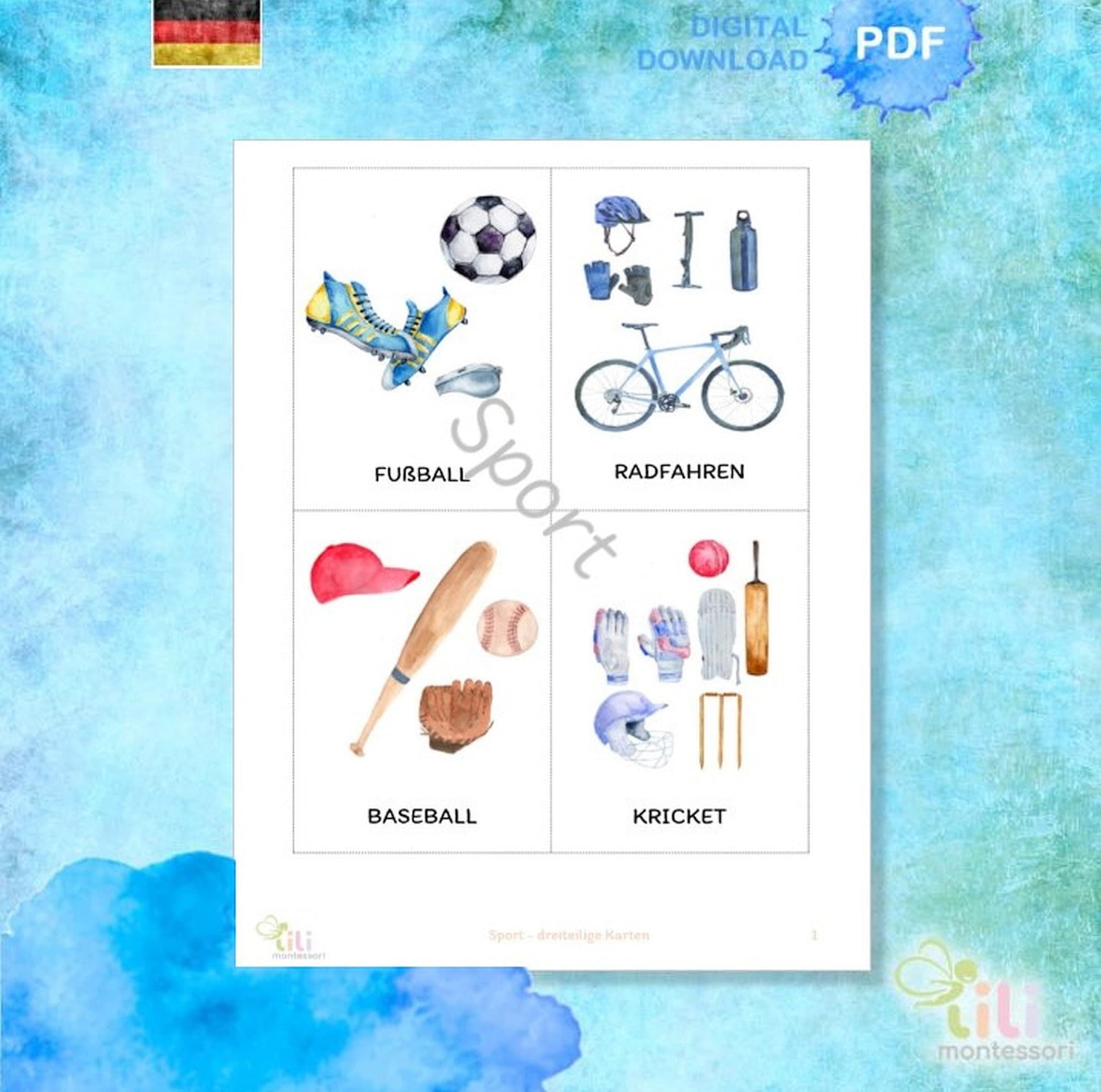 SPORTS Three Part Cards Montessori 20 Editable Cards - Etsy