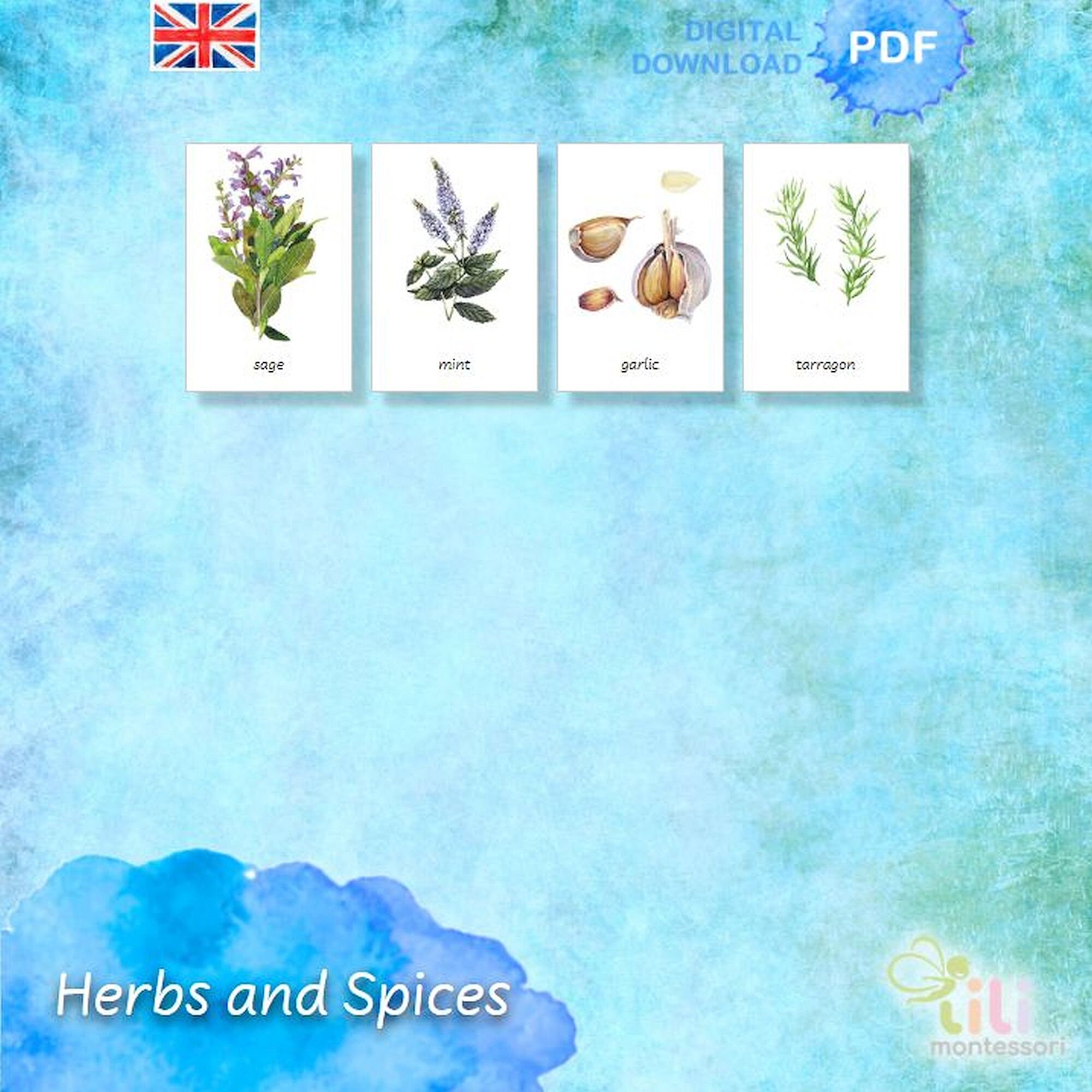 HERBS AND SPICES Montessori 3 Part Cards 28 Editable Cards Multilingual ...