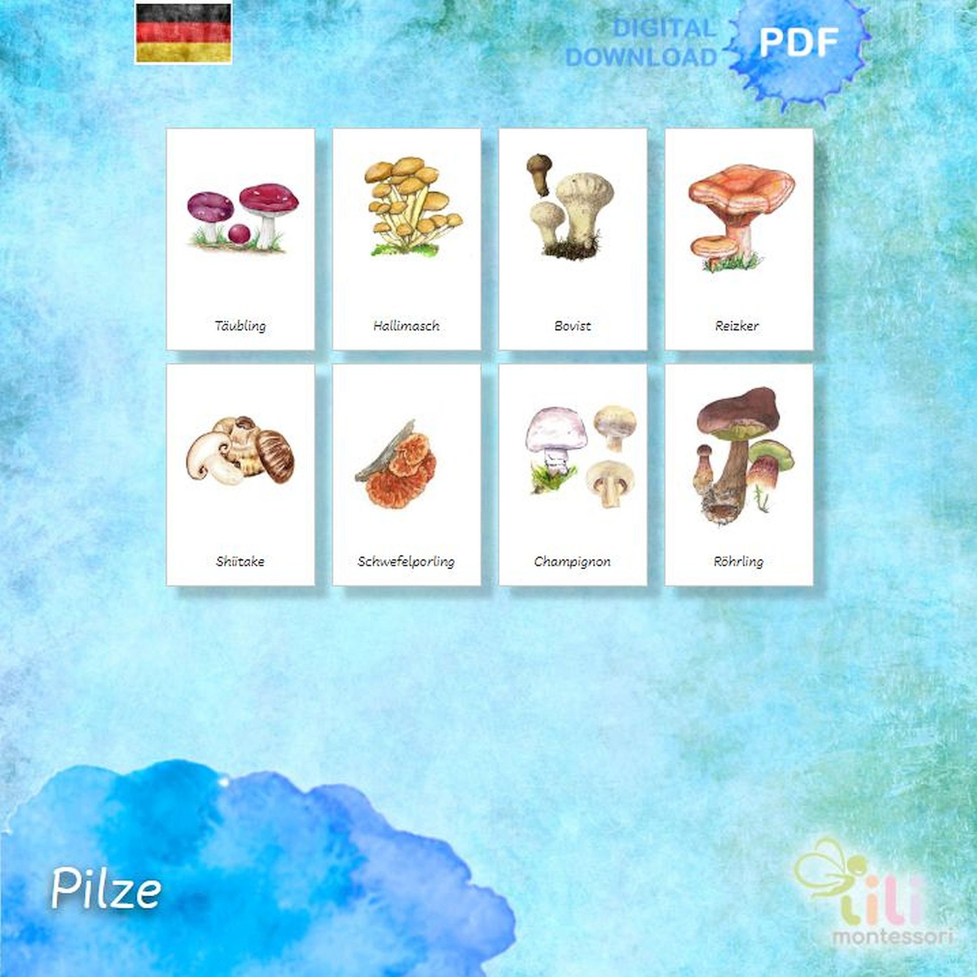 MUSHROOMS 3 Part Cards Montessori ⁕ 24 Editable Cards⁕ Multilingual ...