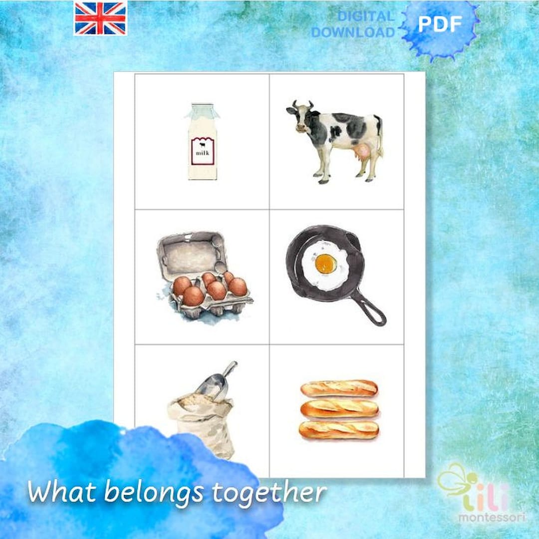 WHAT BELONGS TOGETHER Simple Classification ⁕montessori Printable Cards ...