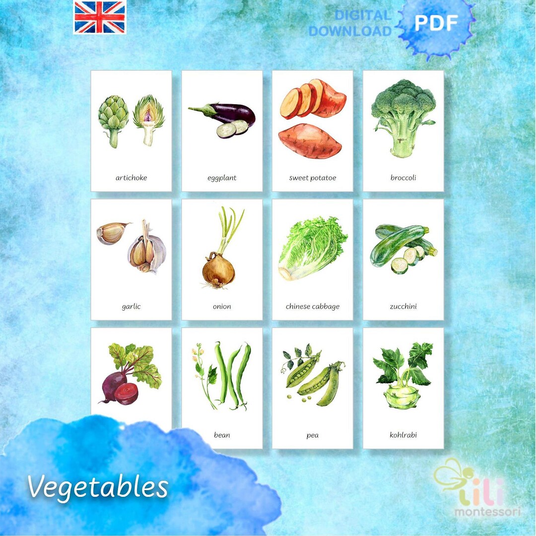 VEGETABLES Three Part Cards Montessori ⁕28 Editable Cards ...