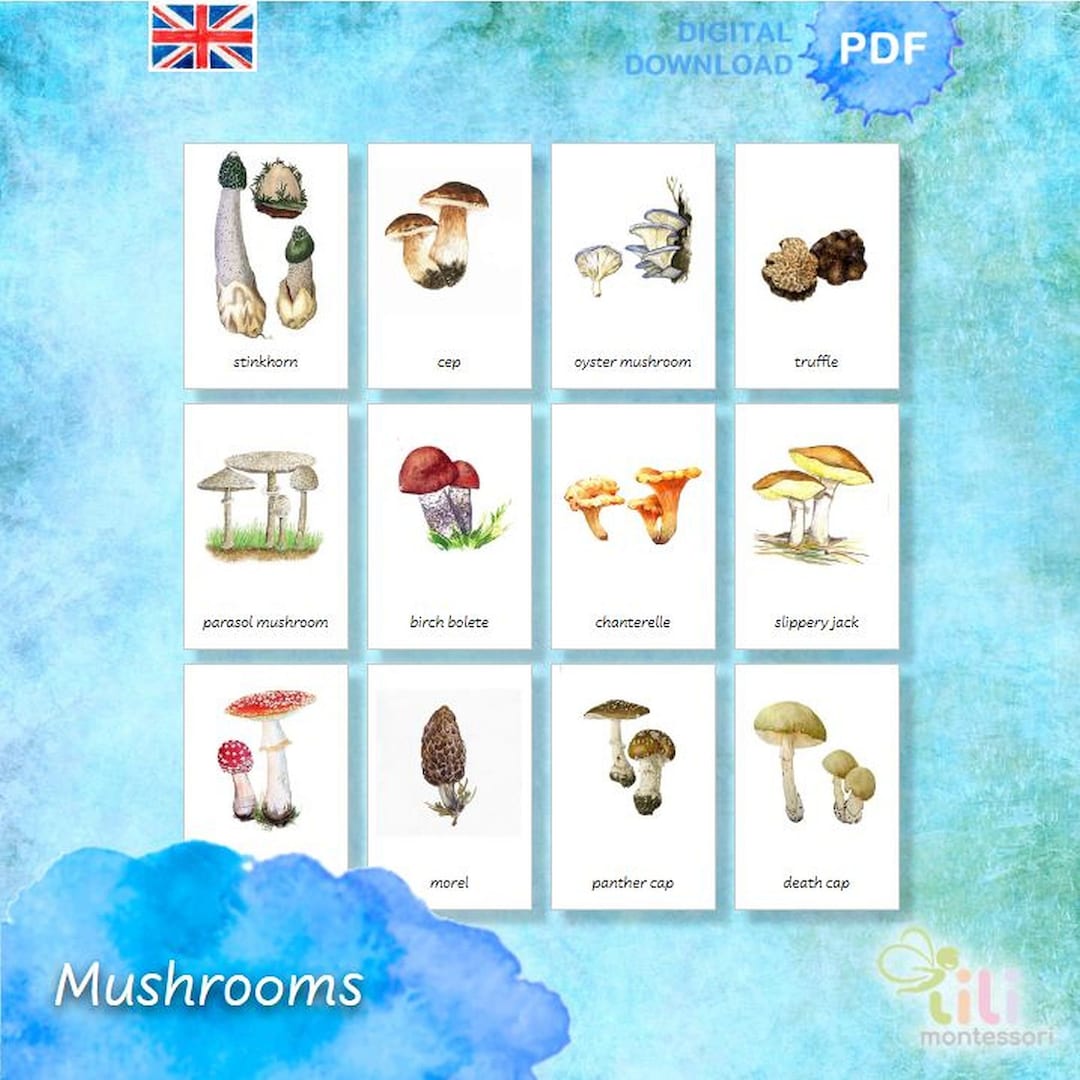 MUSHROOMS 3 Part Cards Montessori ⁕ 24 Editable Cards⁕ Multilingual ...