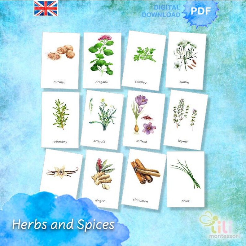 HERBS AND SPICES Montessori 3 Part Cards 28 Editable Cards Multilingual ...