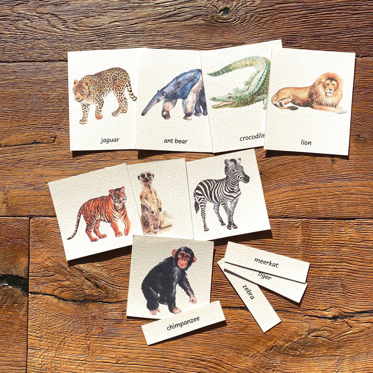 ANIMALS OF AFRICA Three Part Cards Montessori ⁕ Flash Cards ...