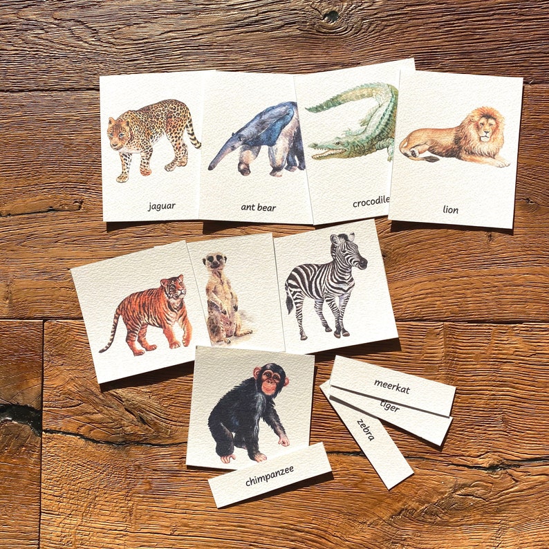 ANIMALS OF AFRICA Three Part Cards Montessori ⁕ Flash Cards ...