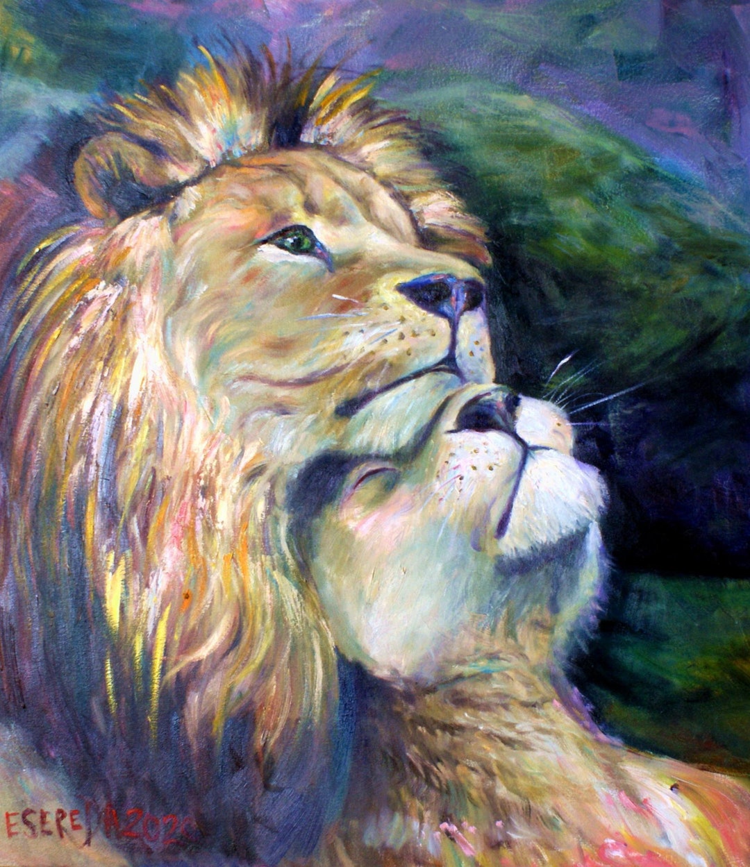 Strong and Gentle Predators, a Pair of Lions in Love. A Pair of Lions ...