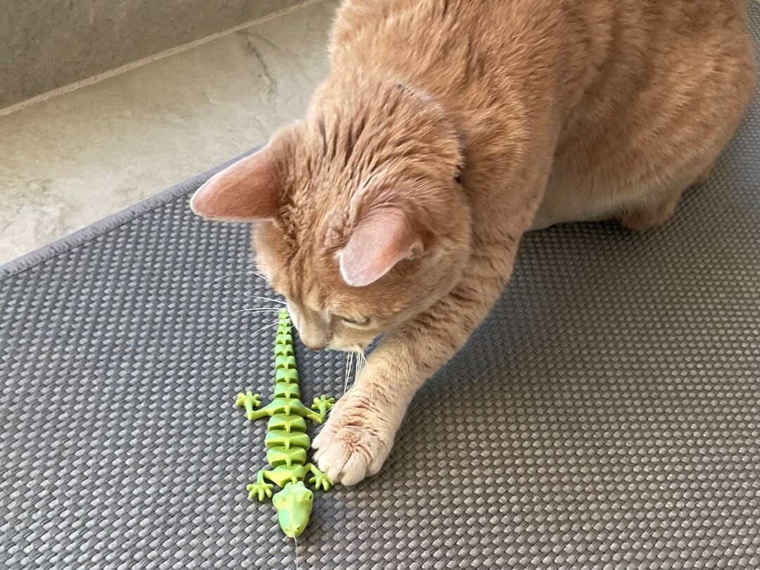 Lizard Toy REFILLABLE, CATNIP FILLED Cat Toy. Catnip, Valerian Root or ...