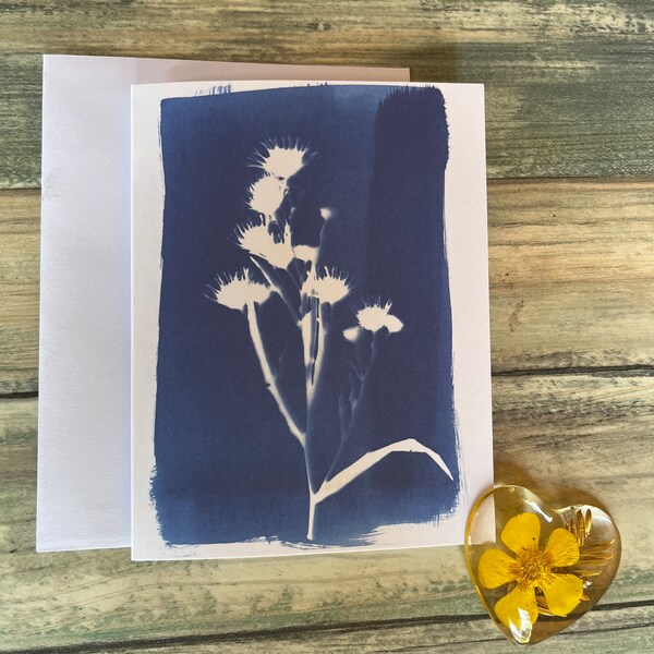 Cyanotype Cards - Etsy UK