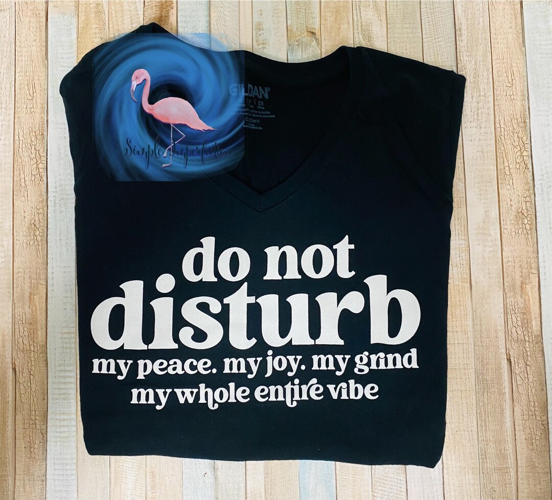 Do Not Disturb | Women’s Graphic Tee | Women’s Shirt | V Neck Tee ...