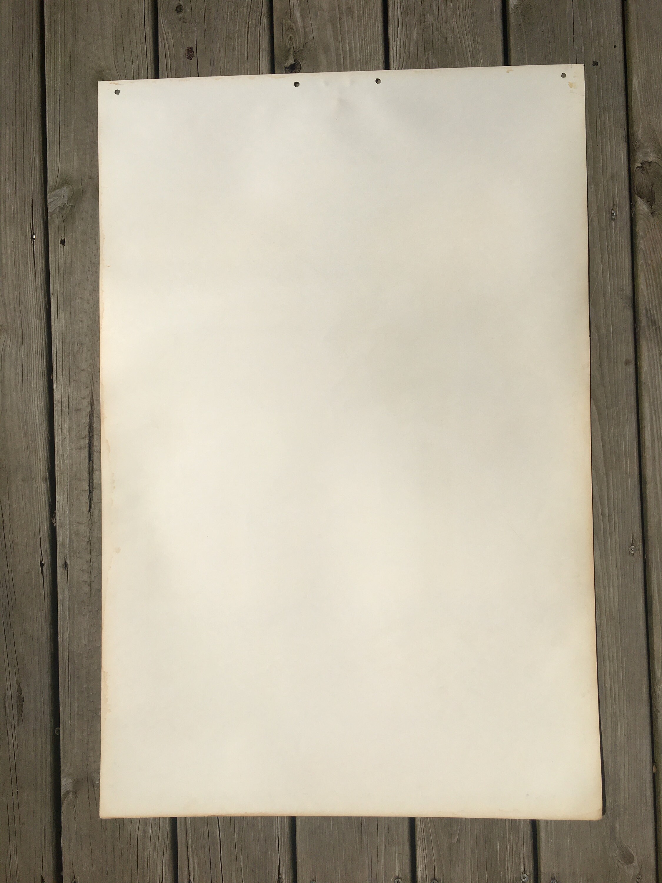 Plant Nutrient Movement - Vintage School Science Chart or Poster - Etsy