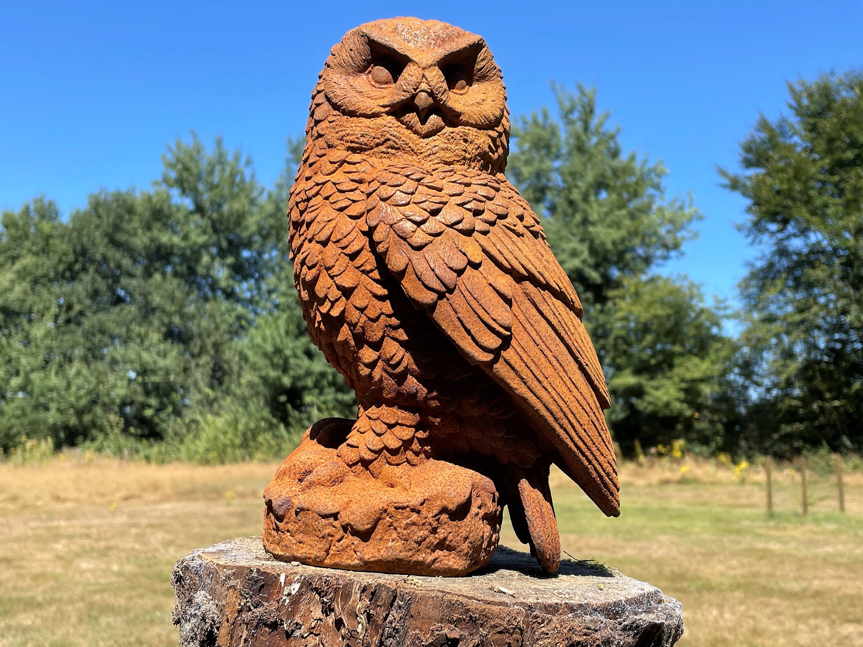 Beautiful Cast Iron Owl Garden Statue Oehoe - Etsy