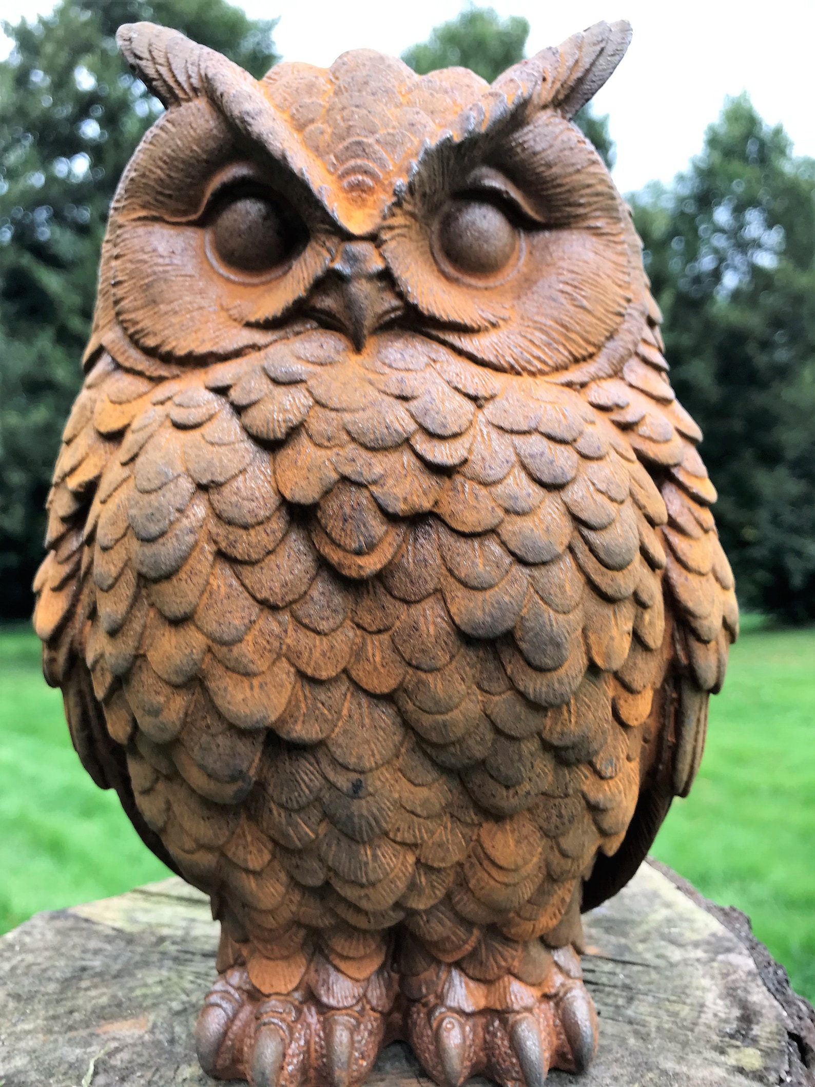 Beautiful Cast Iron Owl Garden Statue Oehoe | Etsy