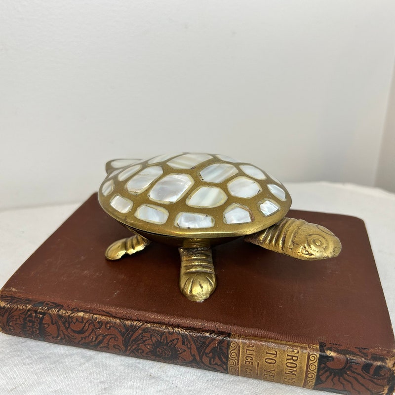 Turtle Trinket Box - Etsy