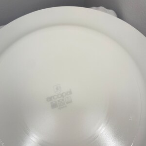 Vintage Arcopal France Plates Collection 6 Dinner Plates Blue Floral - Etsy