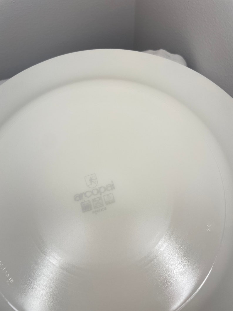 Vintage Arcopal France Plates Collection 6 Dinner Plates Blue Floral - Etsy