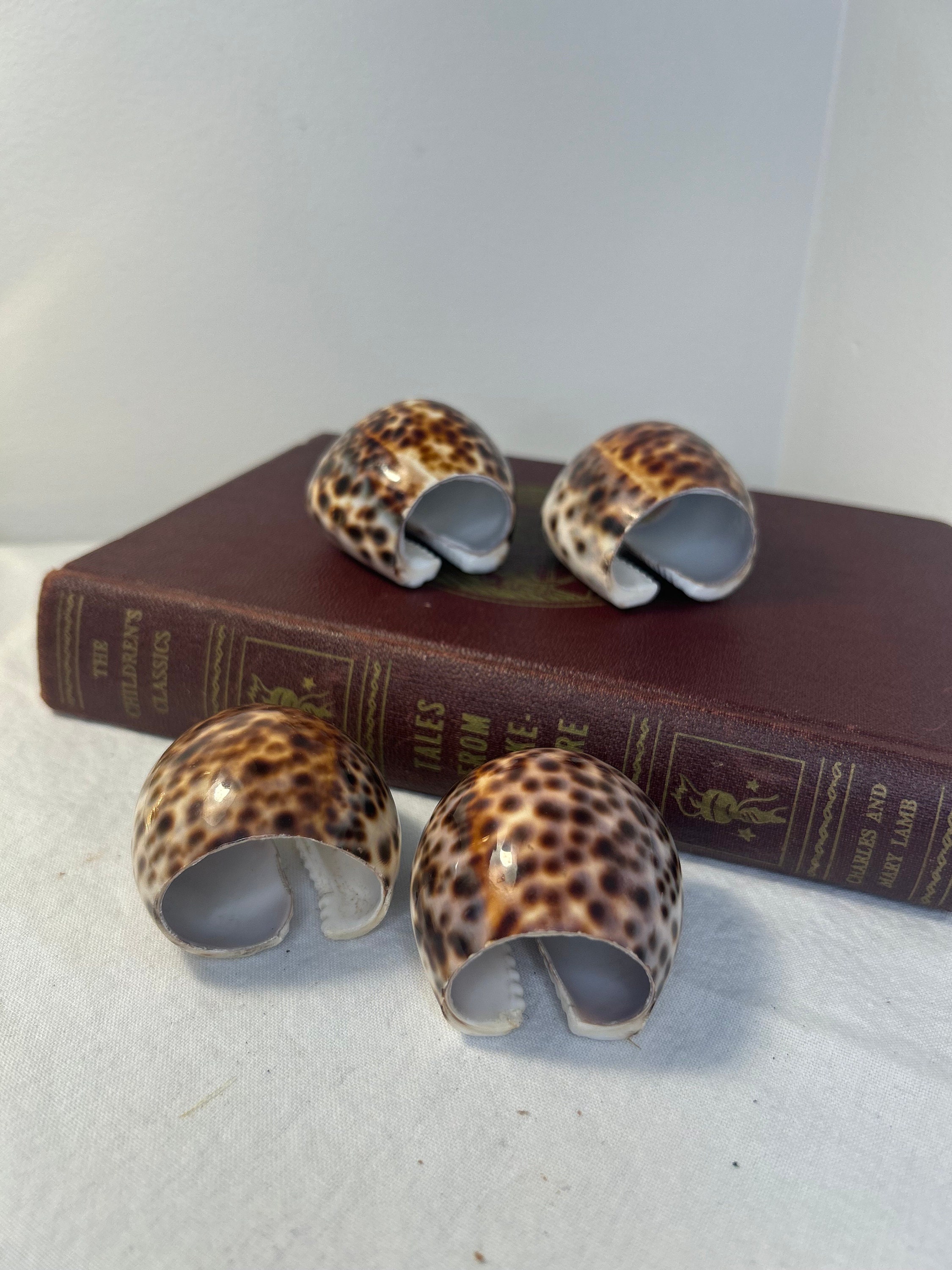 Seashell Napkin Rings Cowrie Shell Napkin Rings Set of 4 Beach Home ...