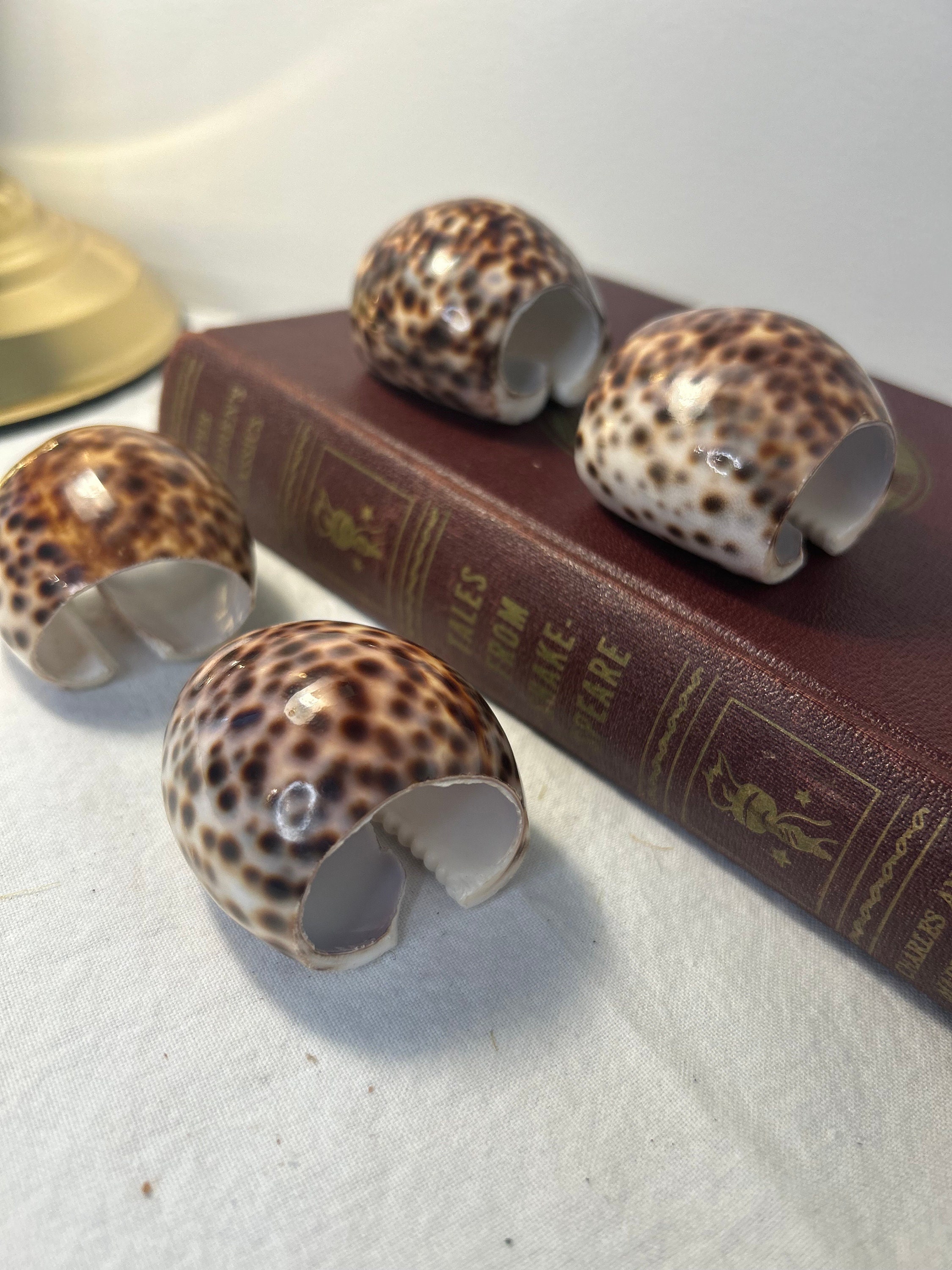 Seashell Napkin Rings Cowrie Shell Napkin Rings Set of 4 Beach Home ...