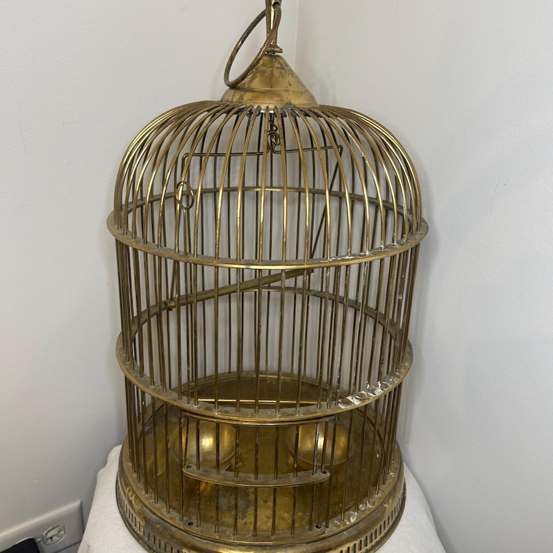 Antique Bird Cage - Etsy