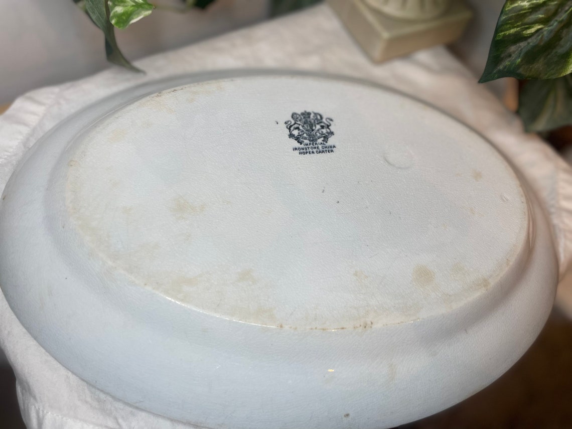 Vintage Ironstone Platter Oval Stained Platter Ironstone China Hope ...