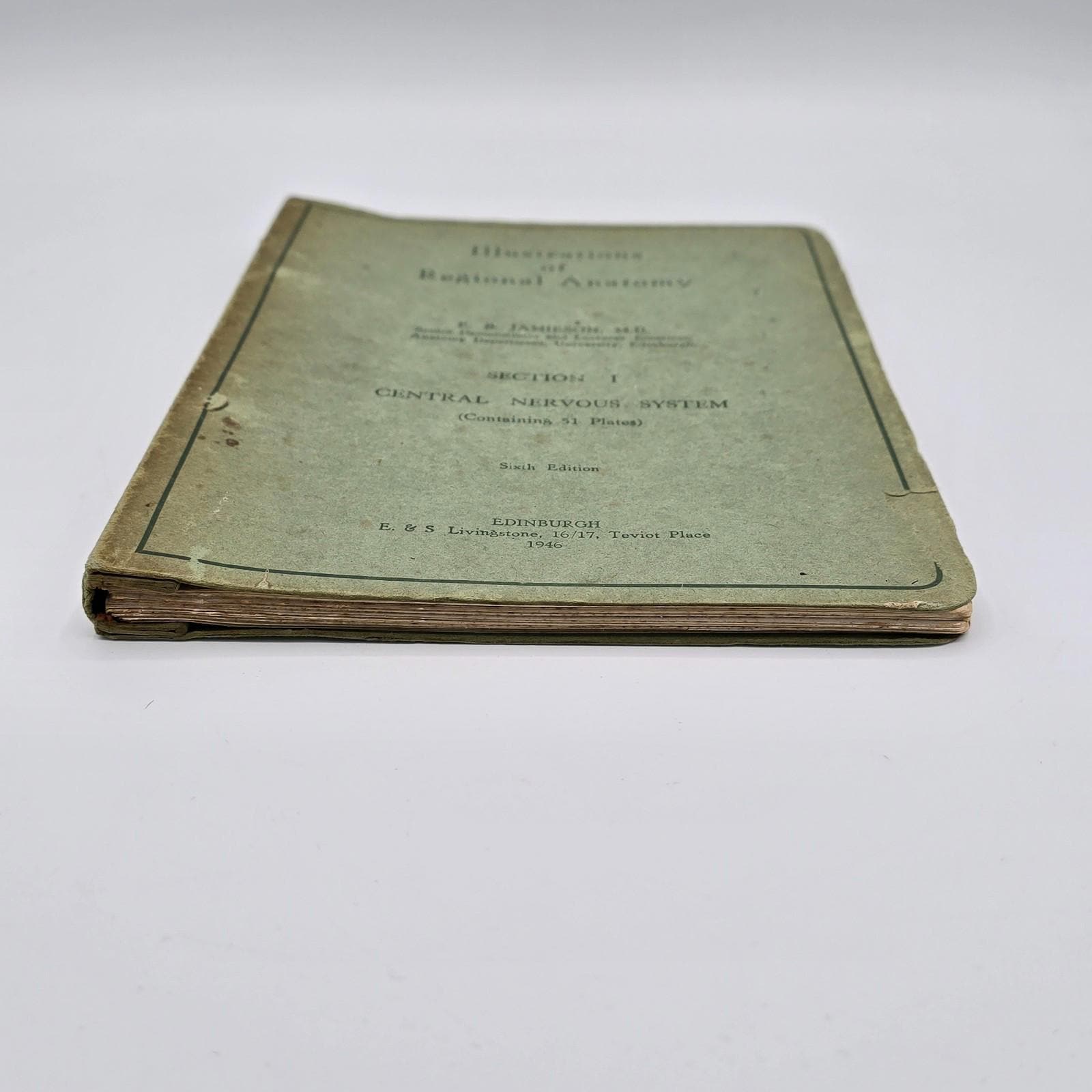 1946 Jamieson Anatomy Plates – Central Nervous System | 51 Coloured ...
