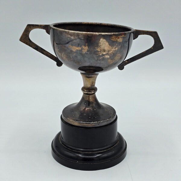 Mini Trophy - Etsy UK