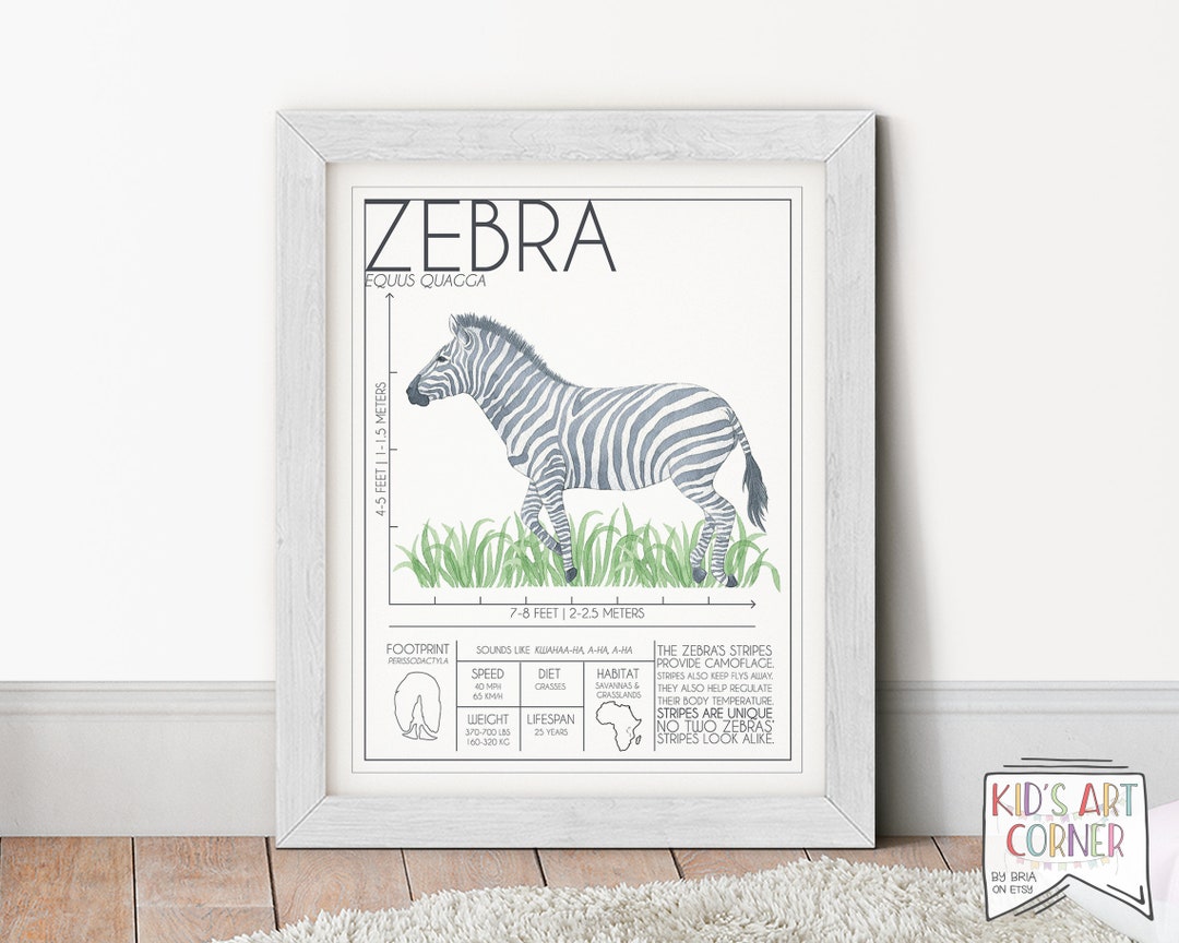 Zebra Art for Kids | Watercolor African Safari Animals | Educational ...
