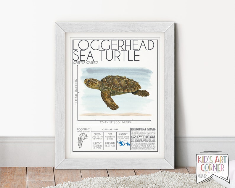 Loggerhead Sea Turtle, Watercolor Hand-painted Ocean Animals ...